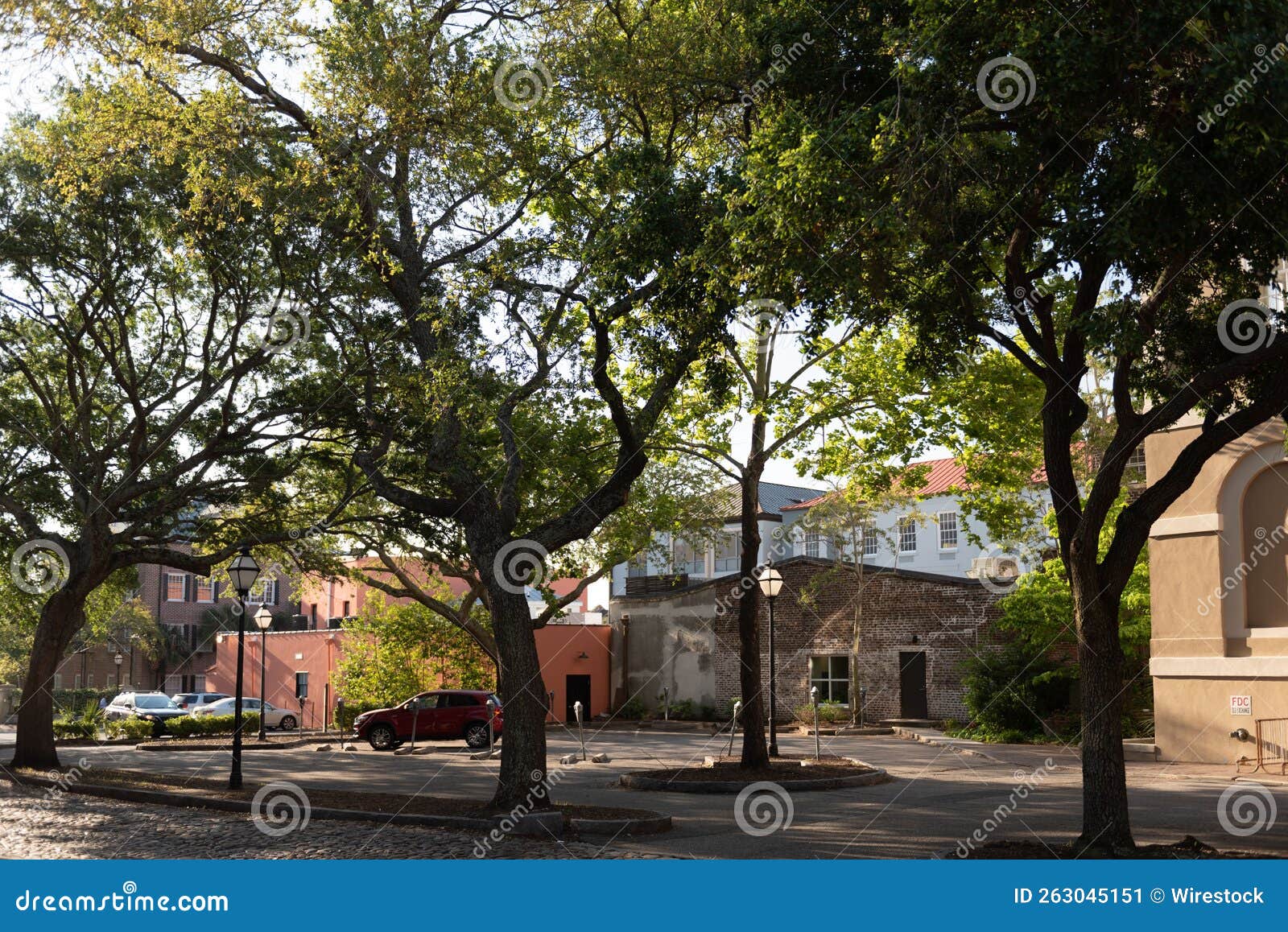 Low-angle of Street View with Buildings and Trees Cobblestone Sunlight ...