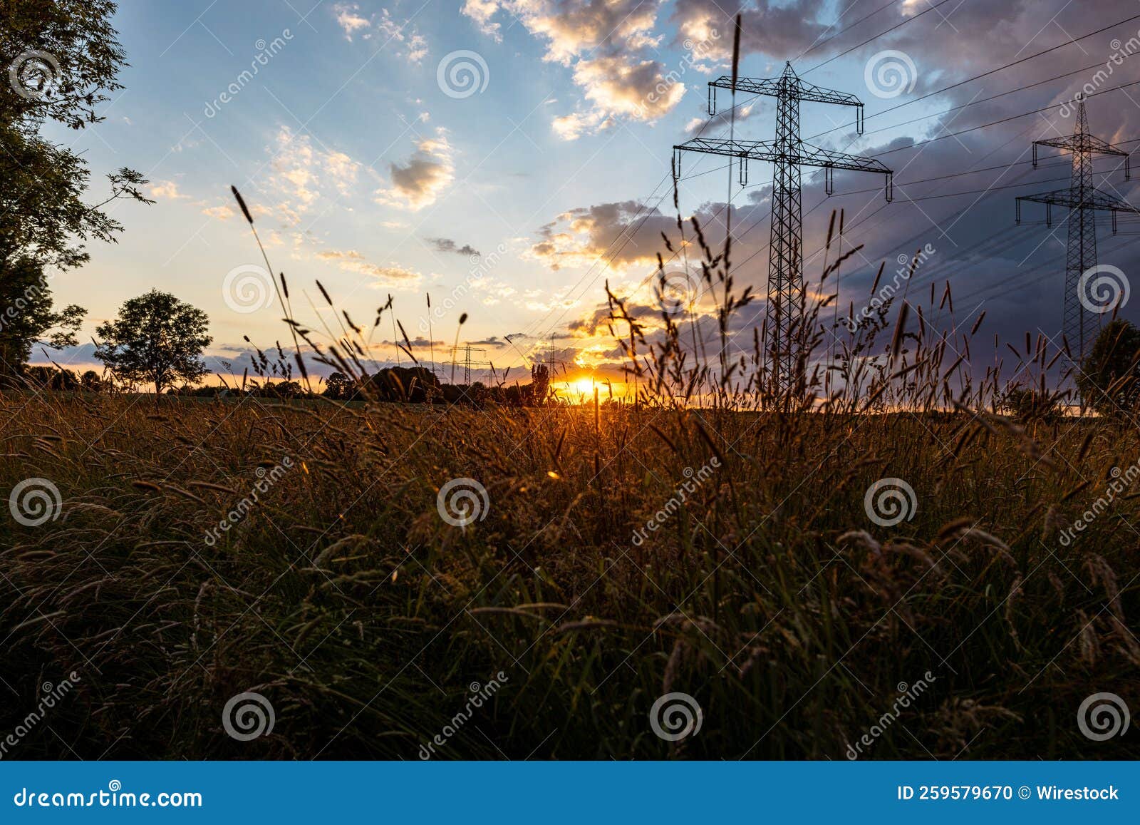 Low-angle of Sunset Over the Field with Grass Silhouettes and Power ...