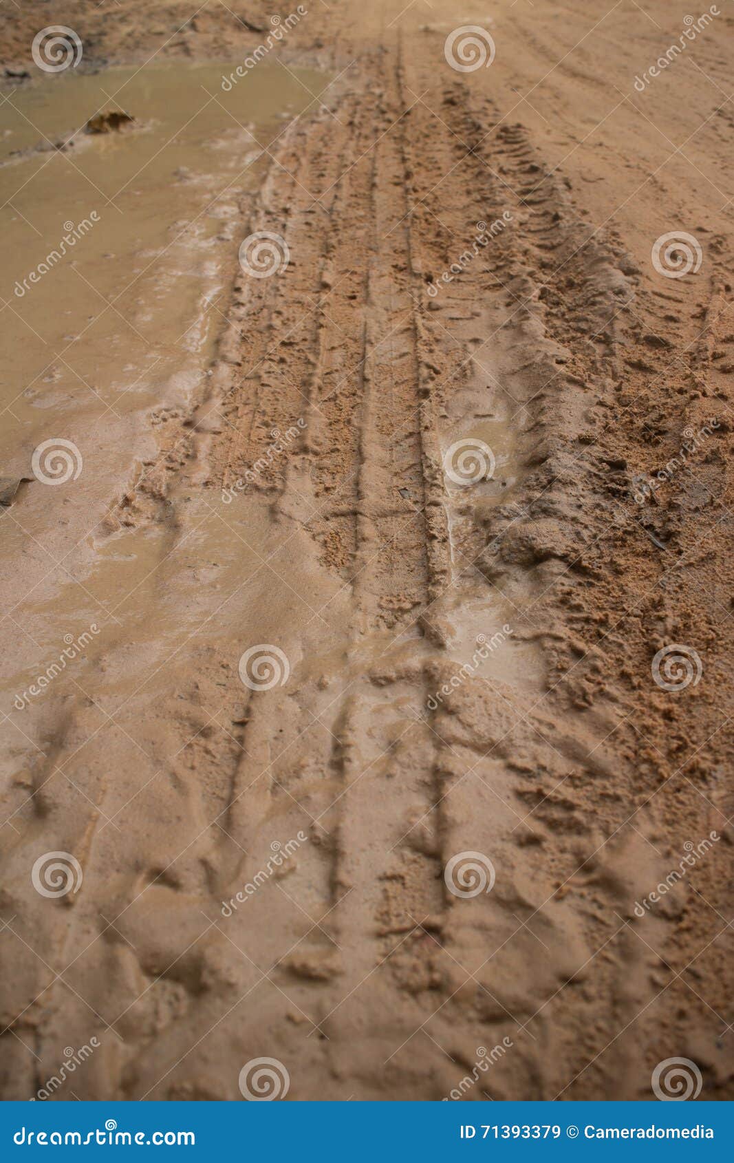 Low Angle Vertical Closer Medium Shot of Muddy Jungle Road with Soft ...