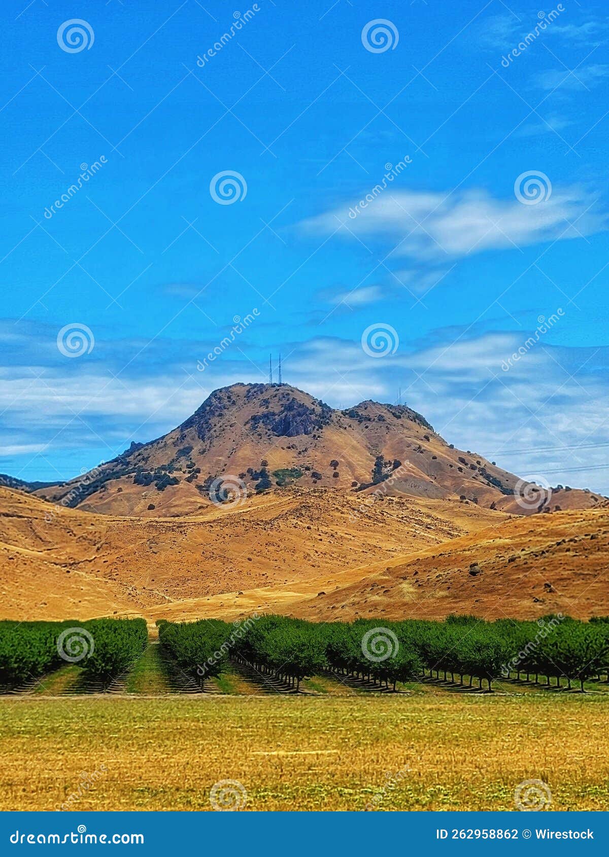 Low-angle Vertical of Sutter Buttes Trees and Fields Near Sunlit Clear ...