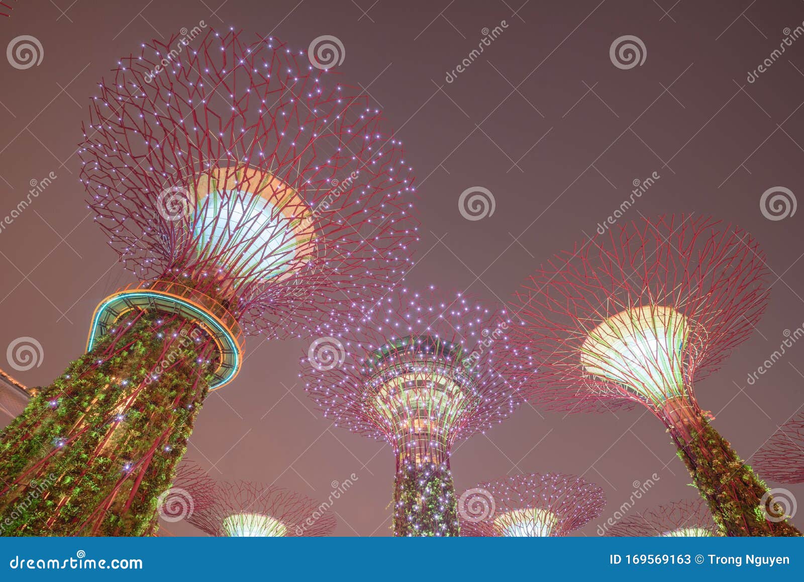 Low Angle View of Artificial Super Tree Illuminated at Night in ...