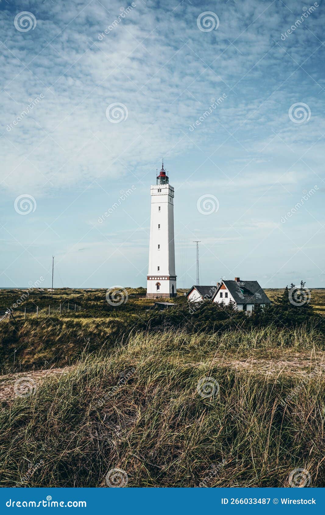 Low-angle View of a Beautiful Lighthouse in the Forest Stock Image ...