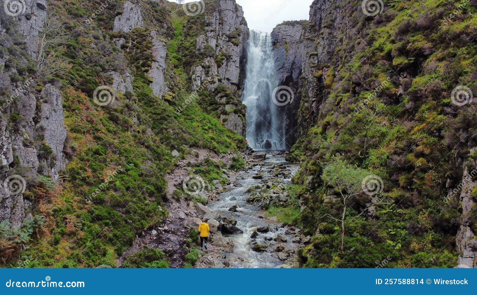 Low-angle View of a Beautiful Waterfall Flowing in the Forest Stock ...
