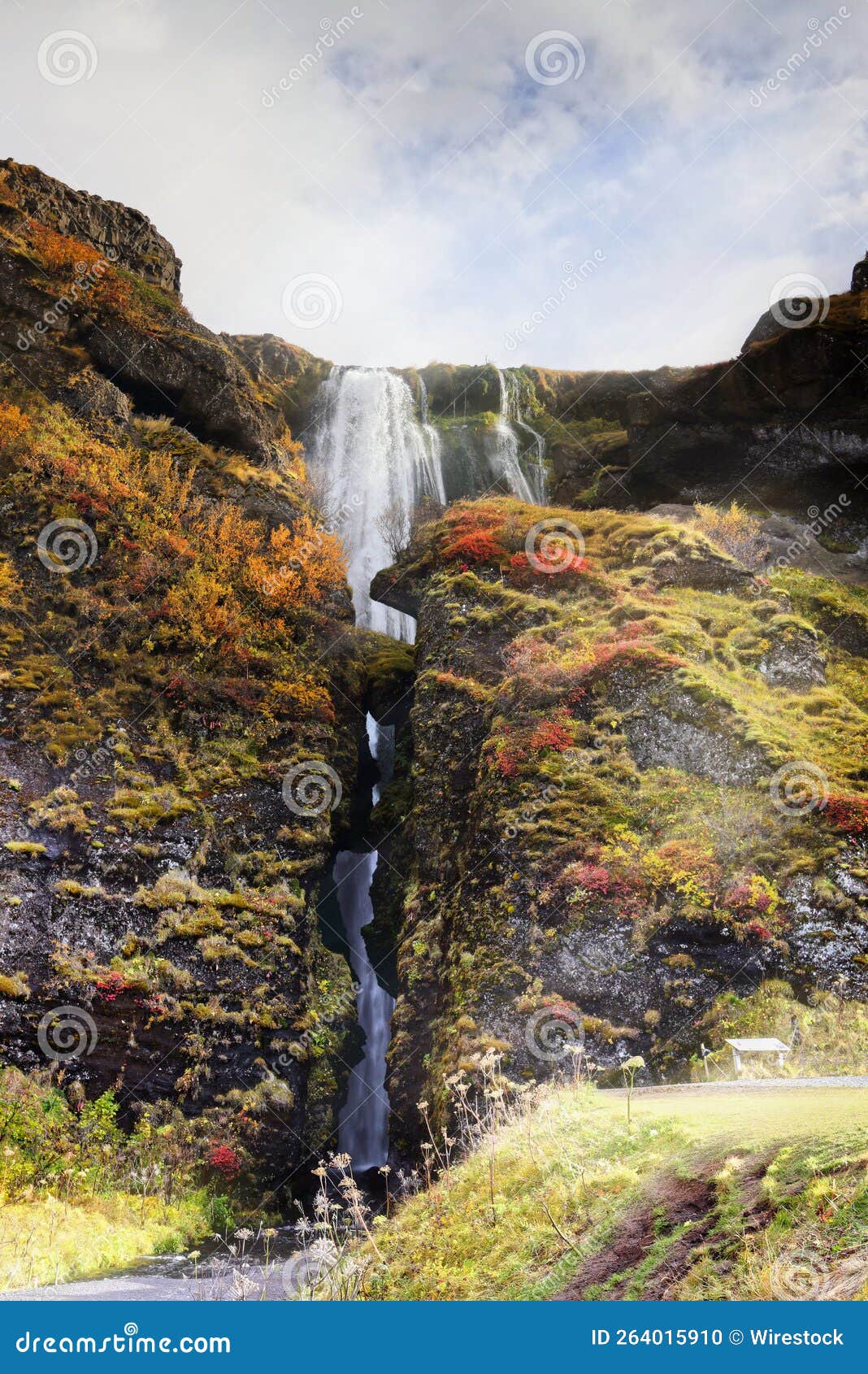 Low-angle View of a Beautiful Waterfall Flowing in the Forest in ...