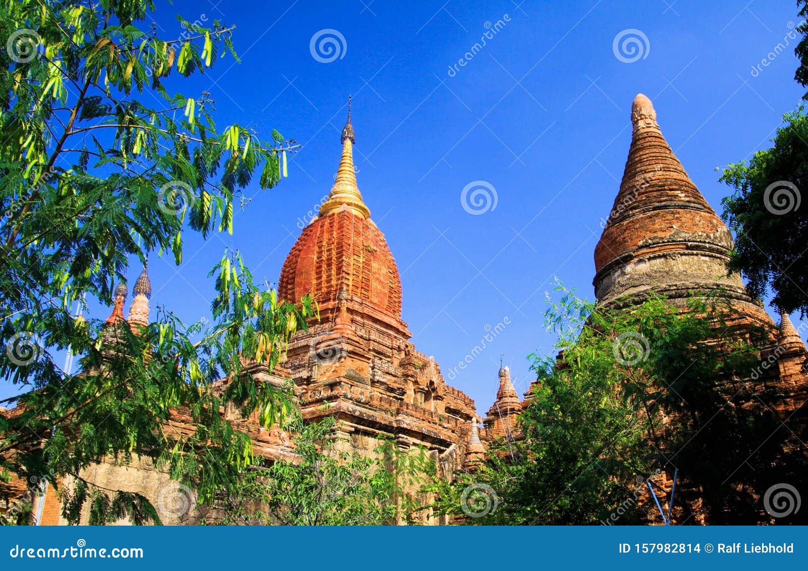 Low Angle View Beyond Trees on Isolated Red Domes of Ancient Buddhist ...