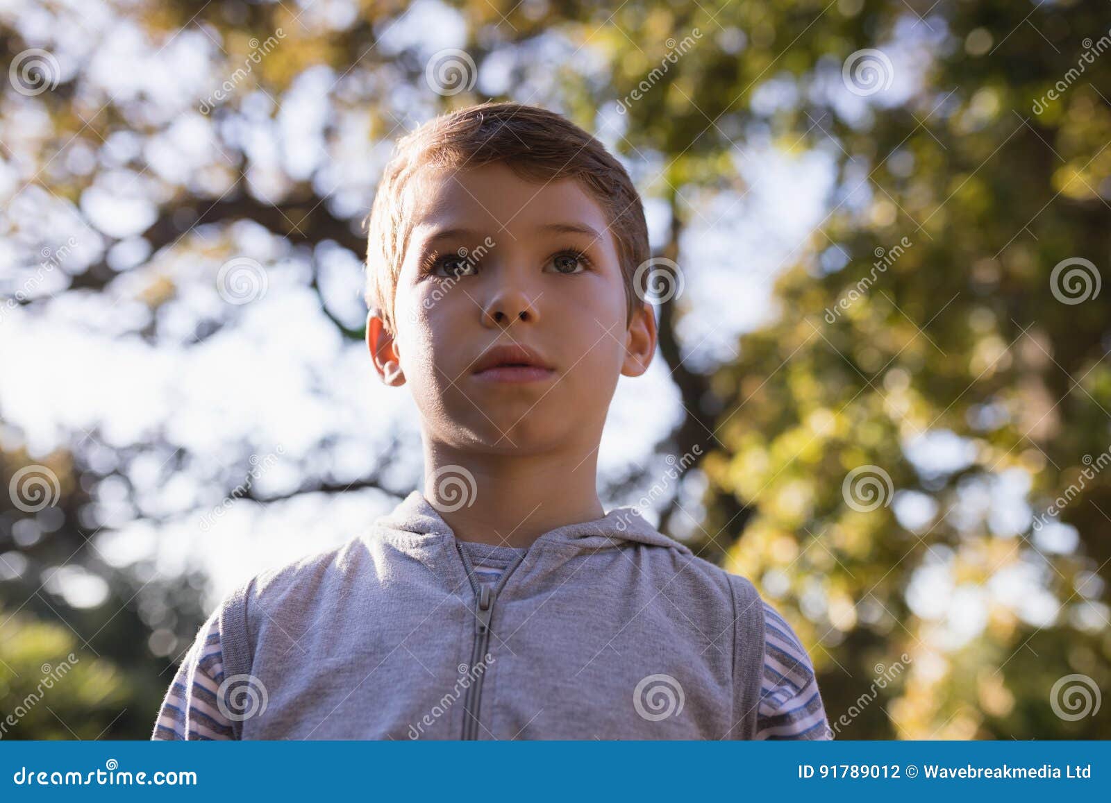 Low Angle View of Boy Against Trees Stock Photo - Image of growth ...