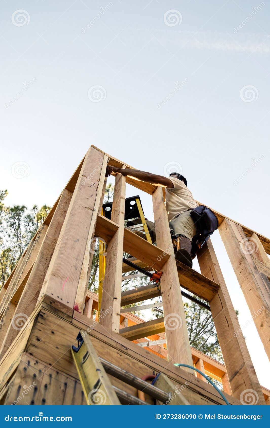 Low Angle View of a Rough Carpenter Stock Photo - Image of framing ...