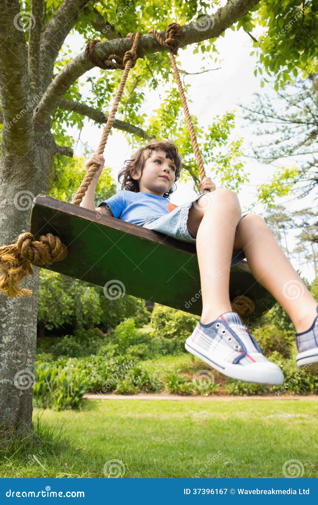 Low Angle View of a Cute Little Boy on Swing Stock Image - Image of ...