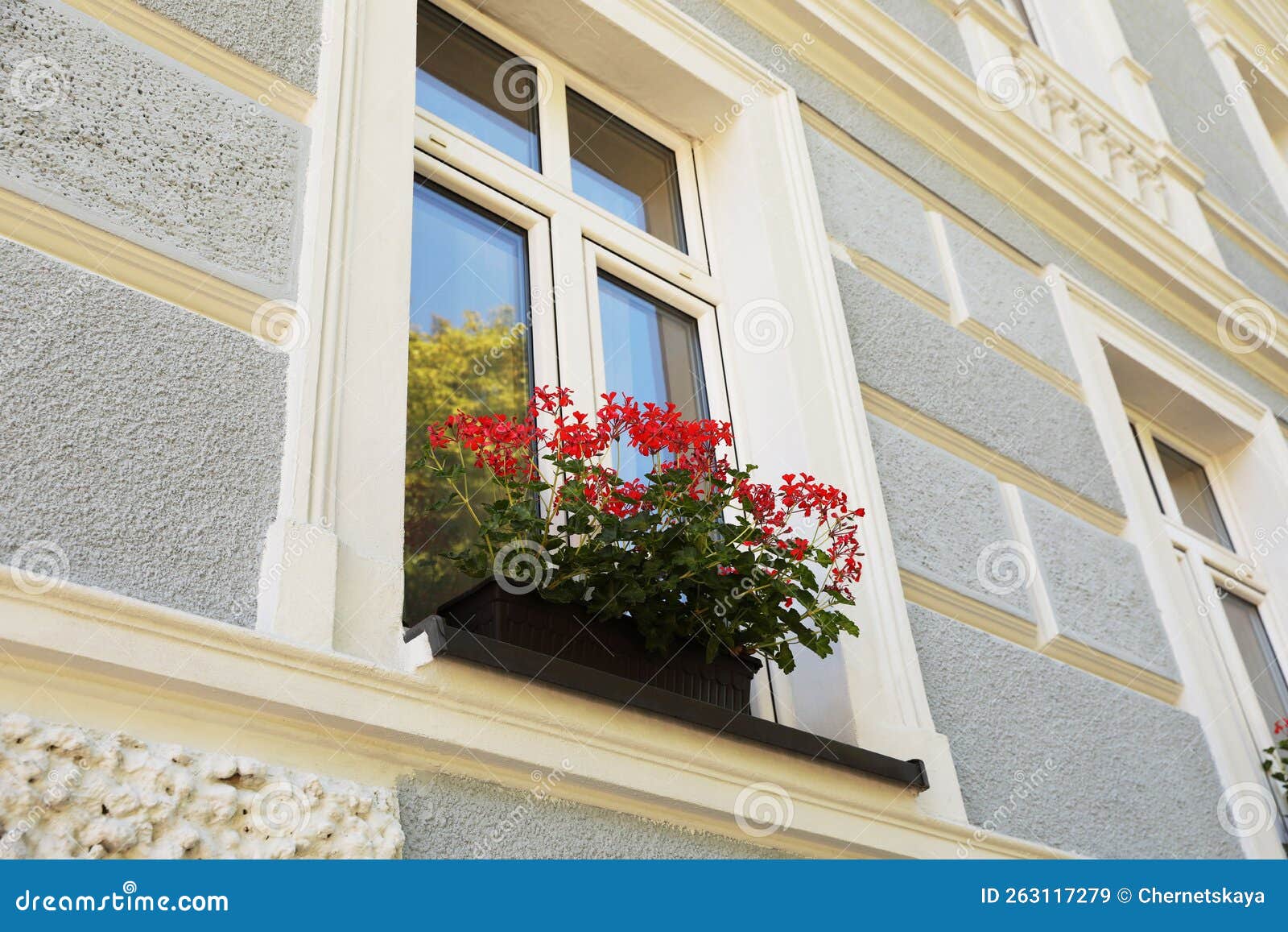Low Angle View of Flower Box on Window Sill Outdoors Stock Image ...