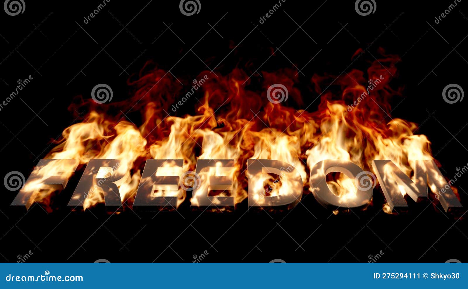 Low-angle View of Freedom Word on Fire with High Flames on Black Stock ...