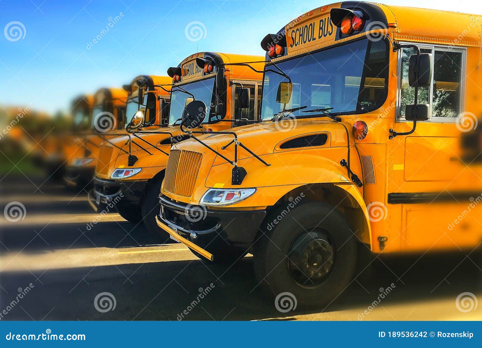 Low Angle View of the Front End of Yellow Public School Buses Parked in ...