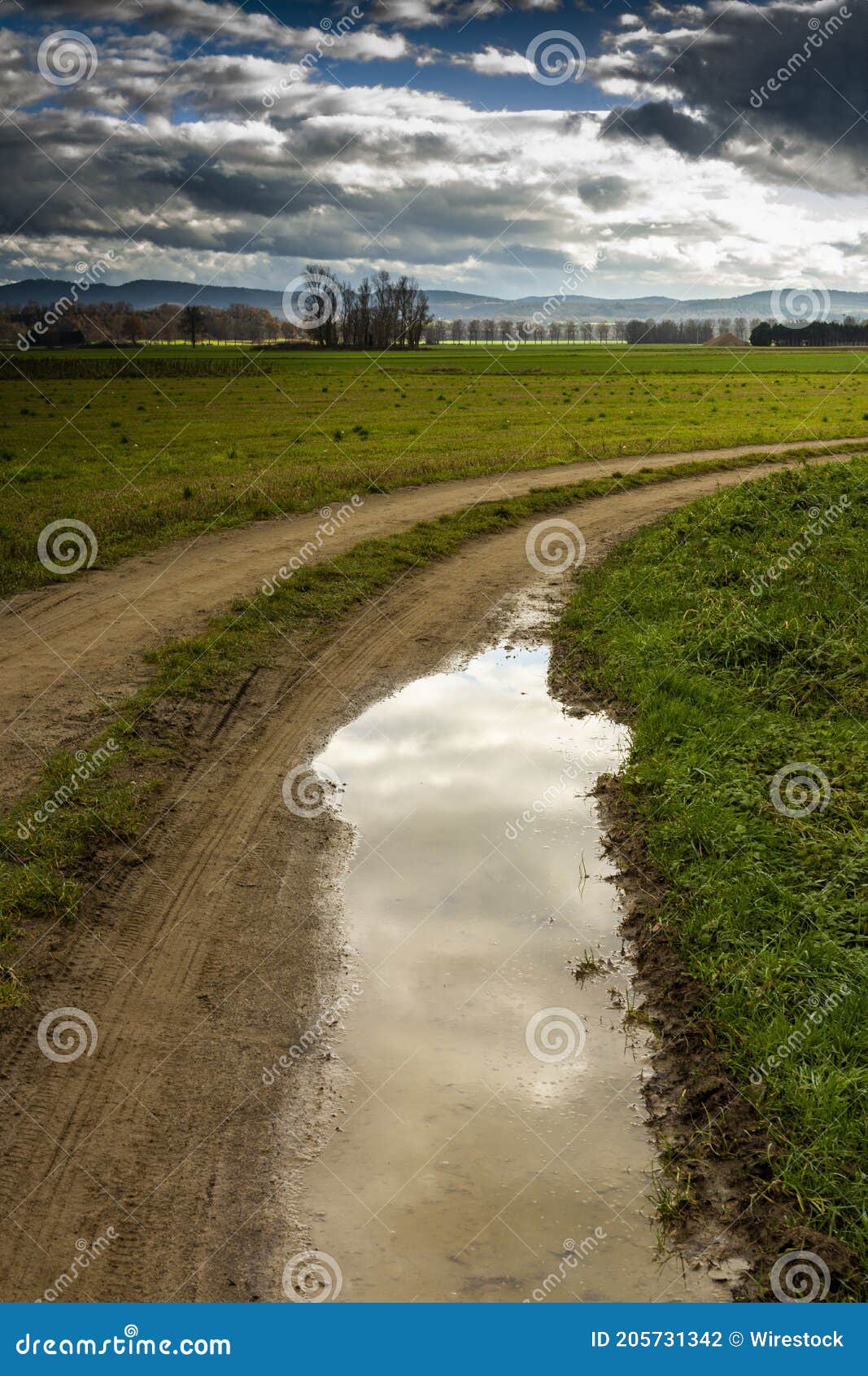 A Reflection Of A Car In A Puddle Of Water A Hyperrealistic Painting ...
