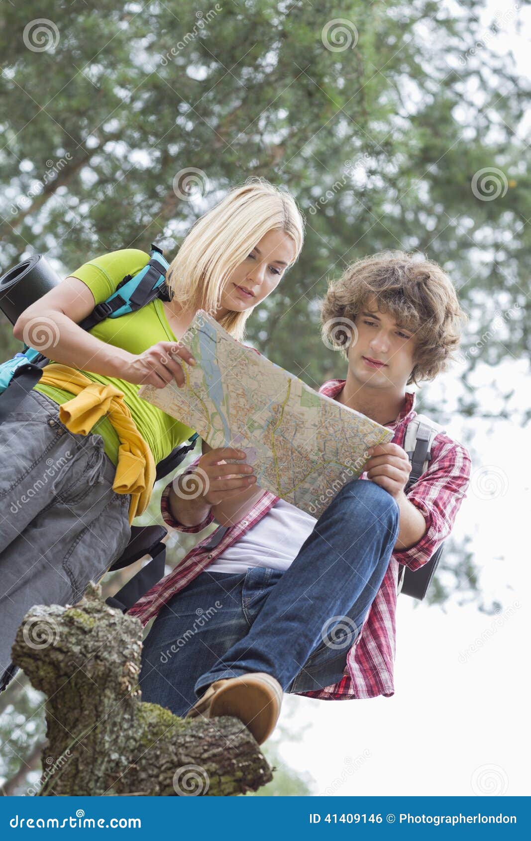 Low Angle View of Hiking Couple Reading Map Together in Forest Stock ...