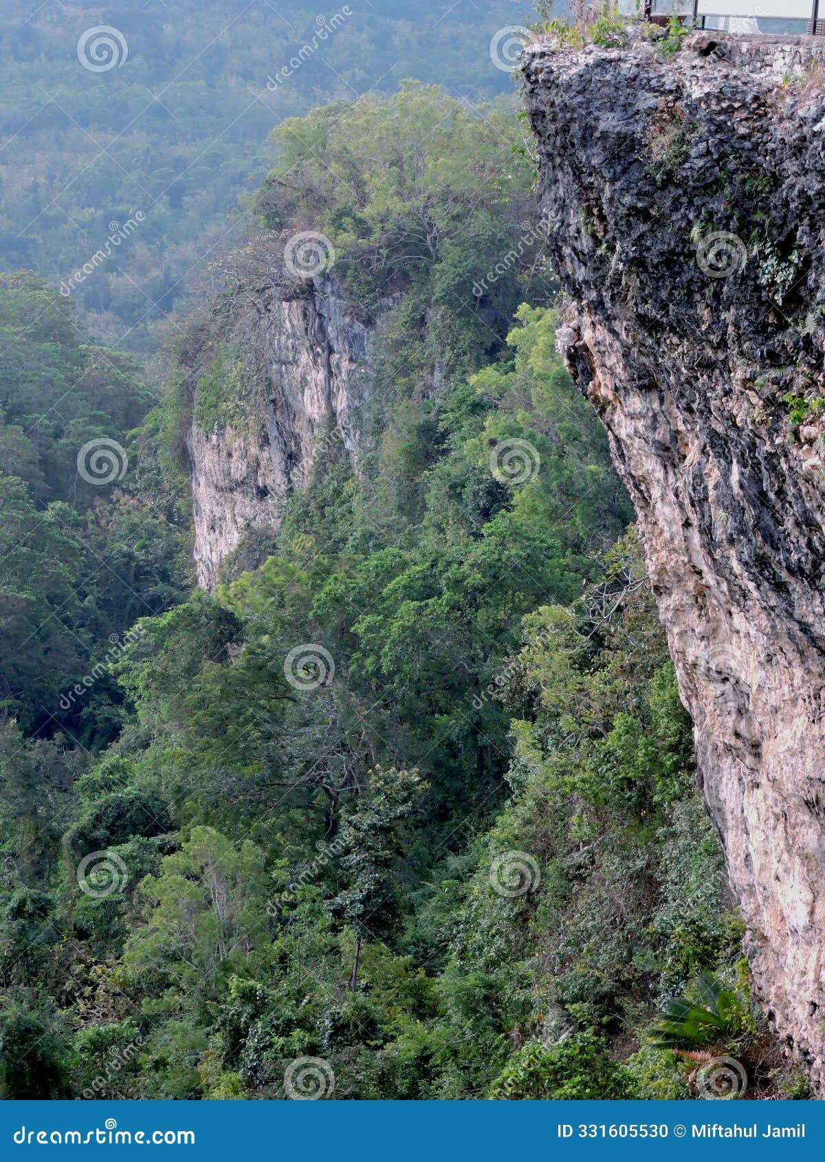 Low Angle View of Limestone Cliffs among Dense Forests Stock Photo ...