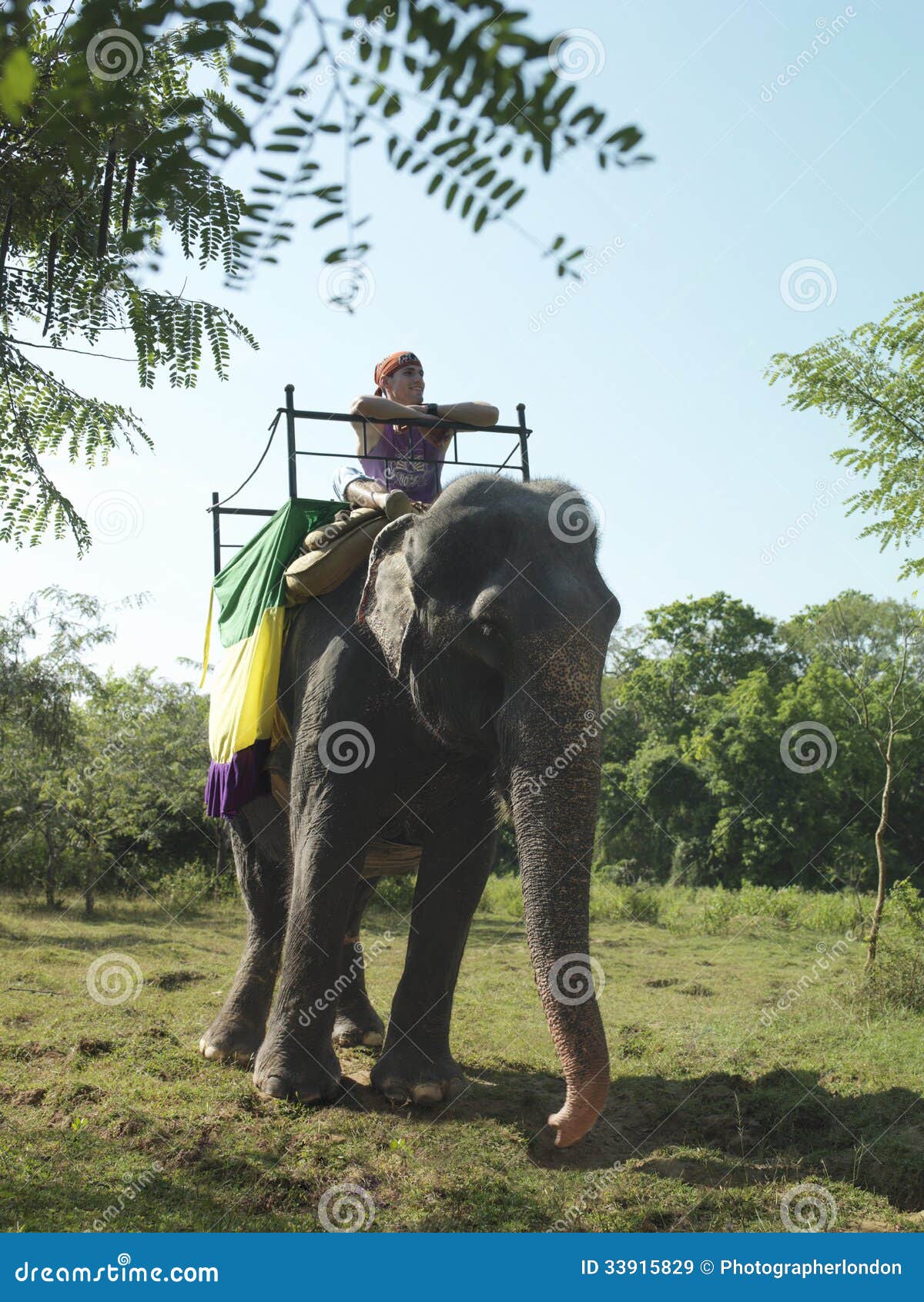 Low Angle View of Man Riding on Elephant Stock Image - Image of ...