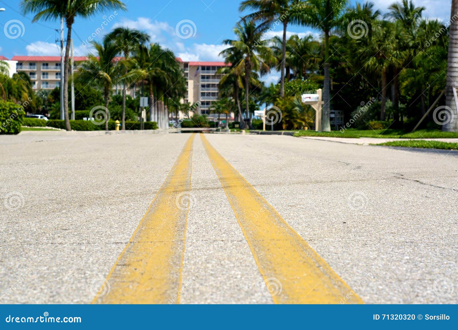 Low angle view of road stock photo. Image of point, asphalt - 71320320