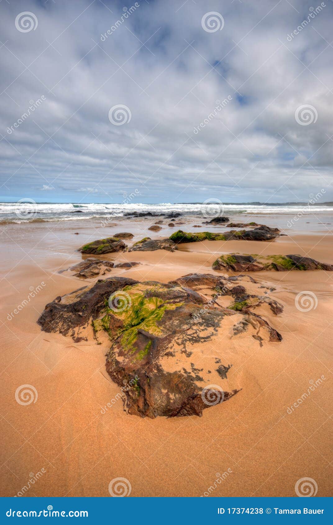 Low Angle View of Rocks on Beach Stock Photo - Image of peaceful ...