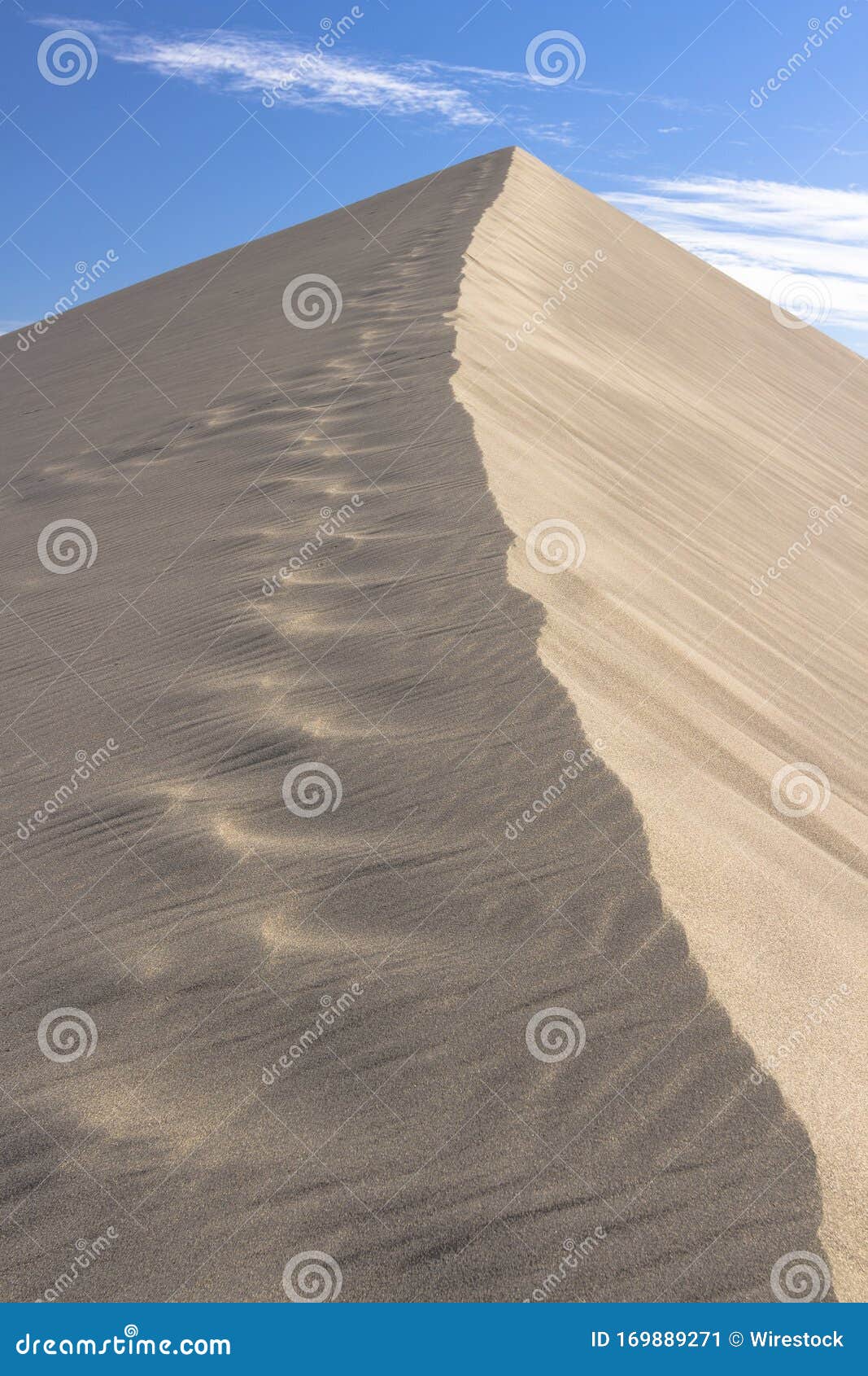 Low Angle View of the Sand Dunes in a Desert Under Sunlight and a Blue ...