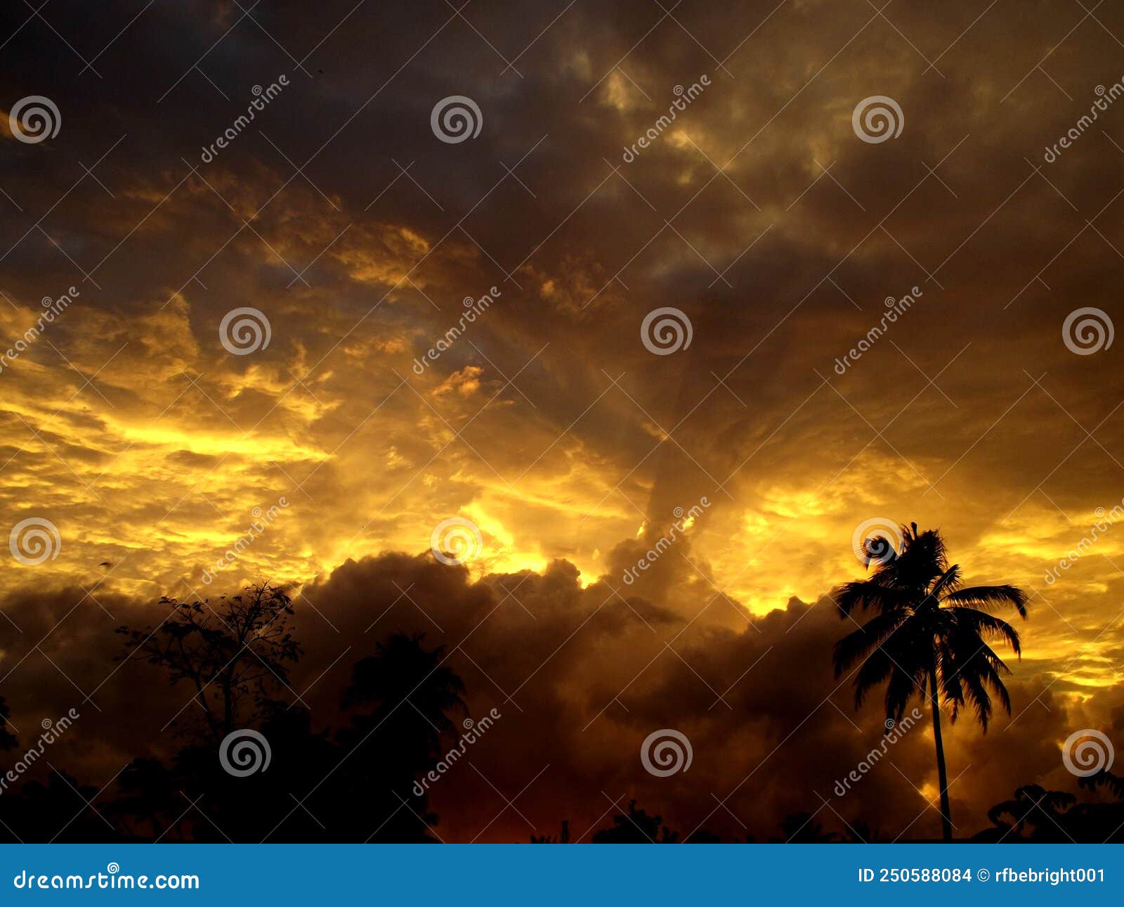 Low Angle View of Silhouette Trees Against Dramatic Sunset Sky Stock ...