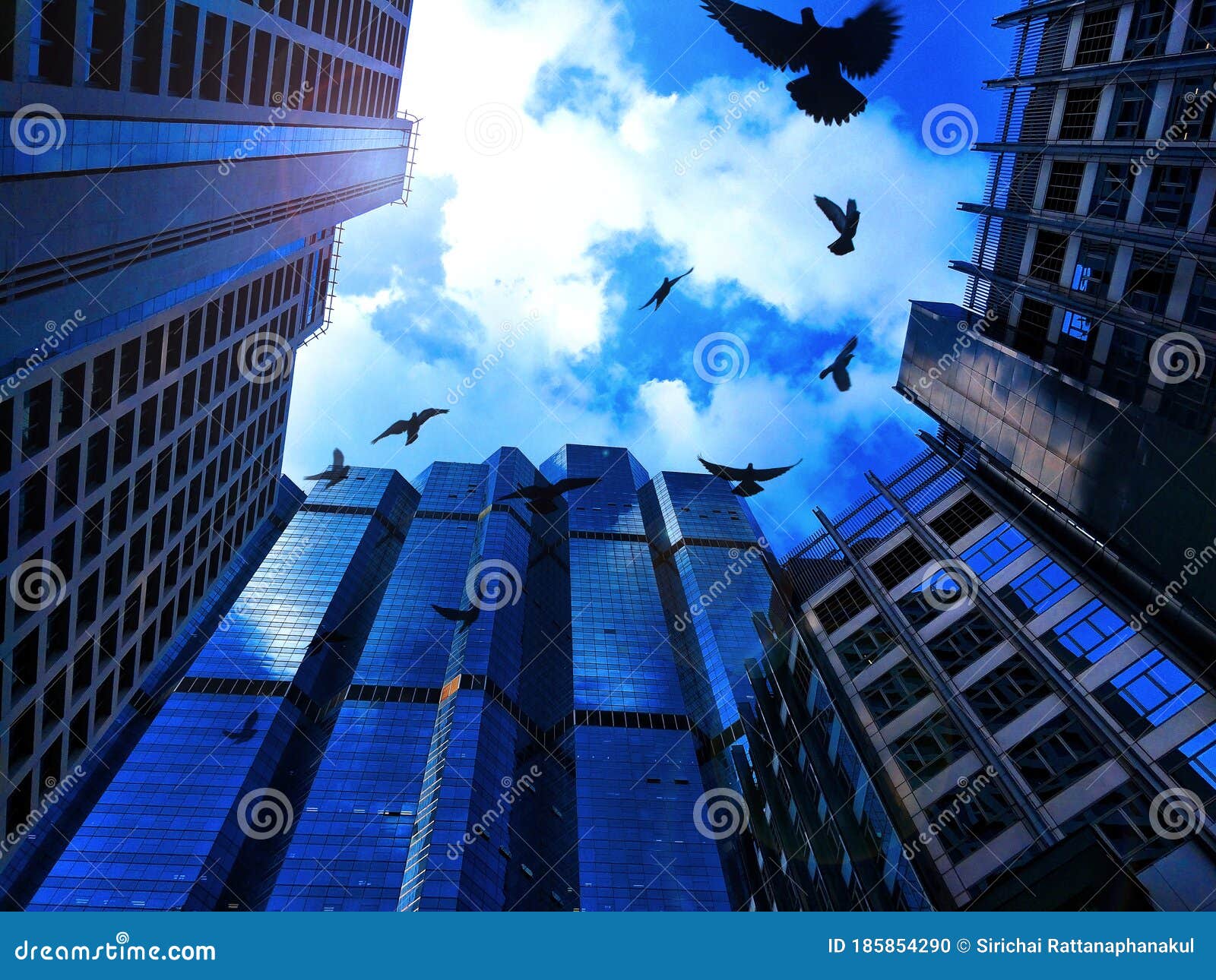 Low Angle View of Skyscraper with Bird Flying and Architecture in City ...