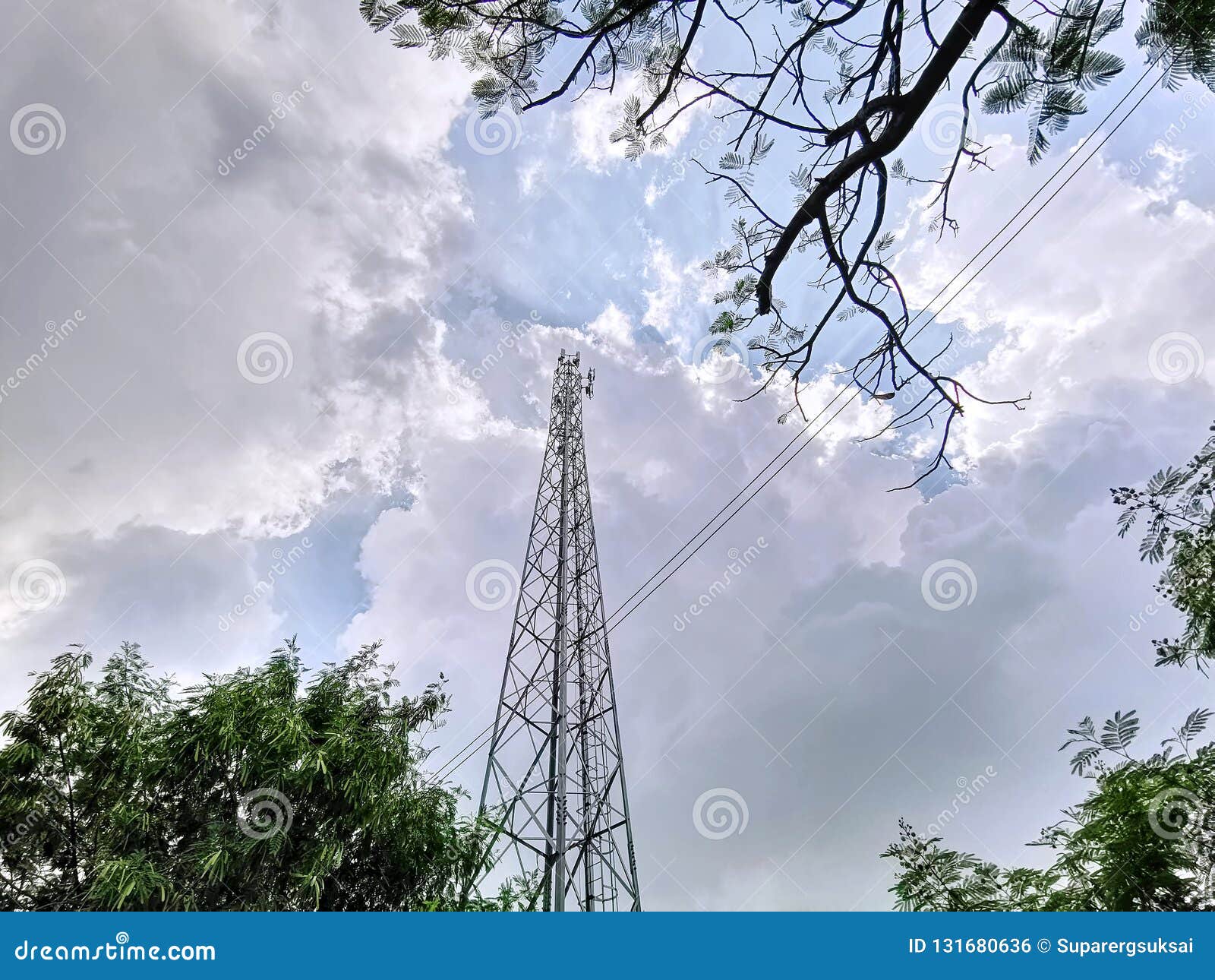 Low Angle View of Telecommunication Tower through Tree Canopy Against ...