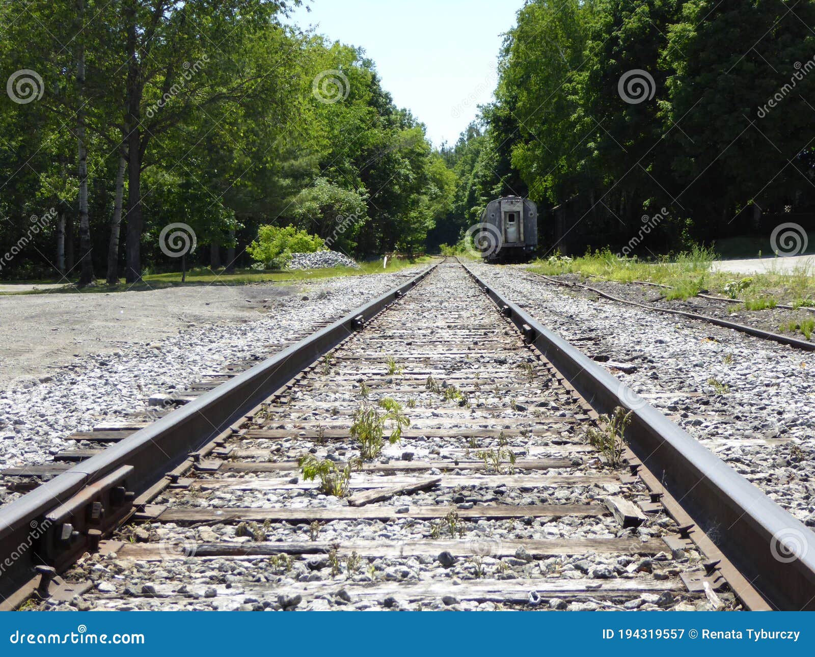 Low Angle View of Train Tracks and Train Carriage in the Woods Stock ...