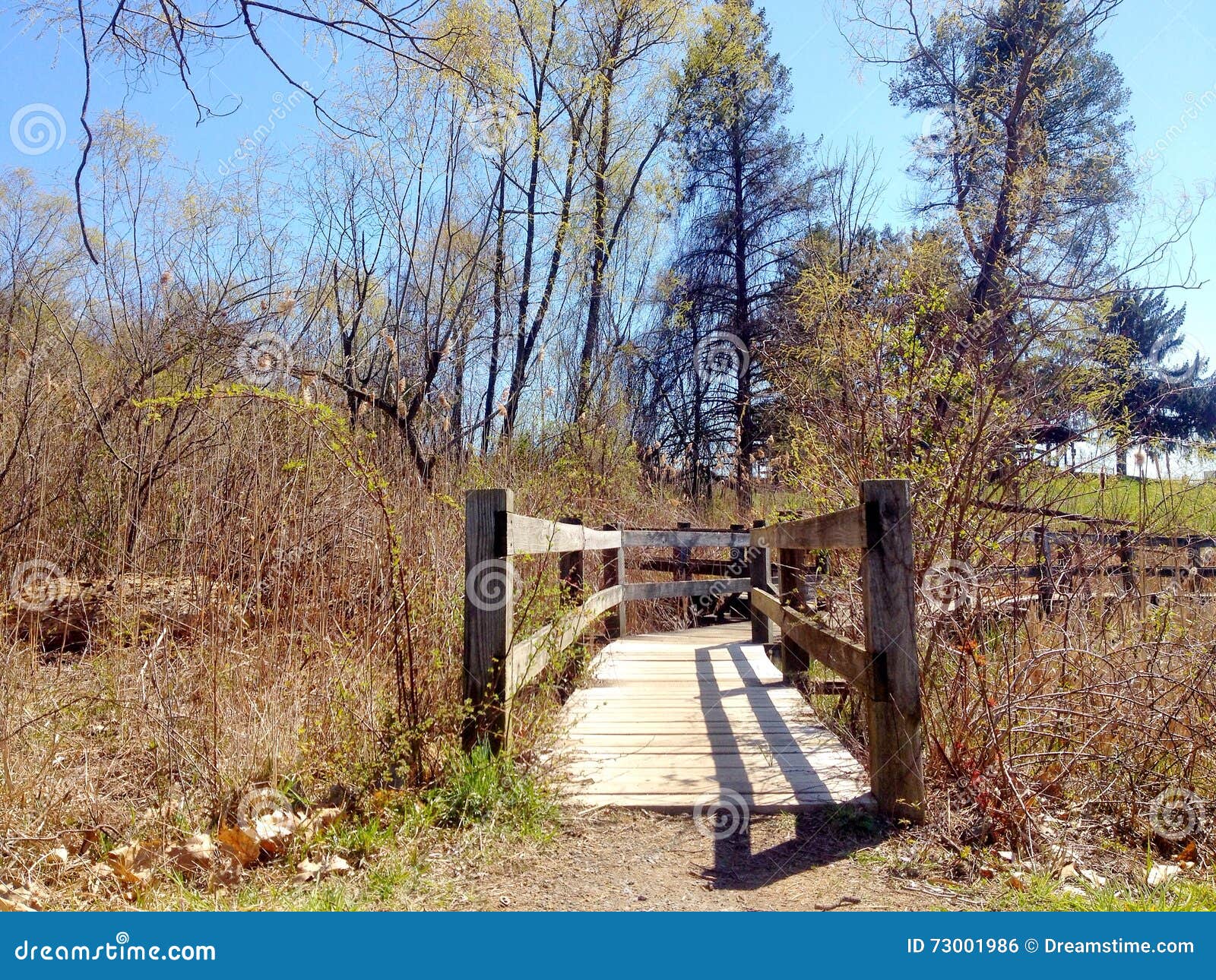 Low Angle View of a Walkway Bridge Over Water Stock Photo - Image of ...