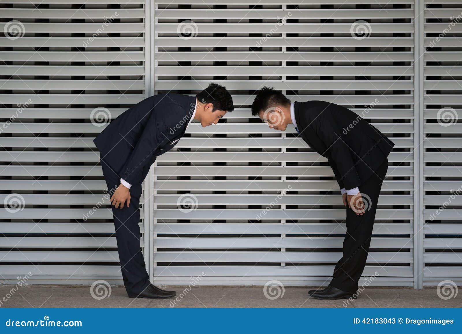Low bow stock image. Image of businessman, culture, partner - 42183043