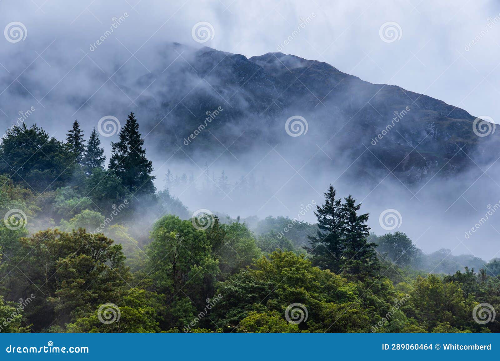 Low Cloud and Mist Over a Forest with Mountain Backdrop (Glencoe ...
