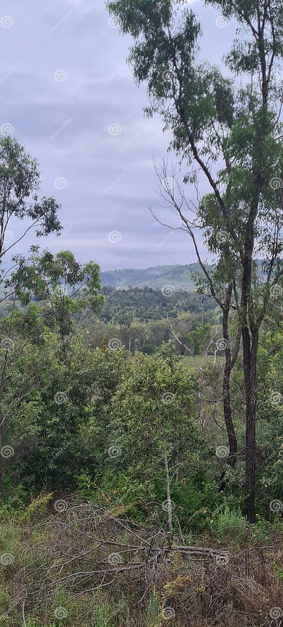 Low cloud stock photo. Image of wilderness, nature, ridge - 246446048