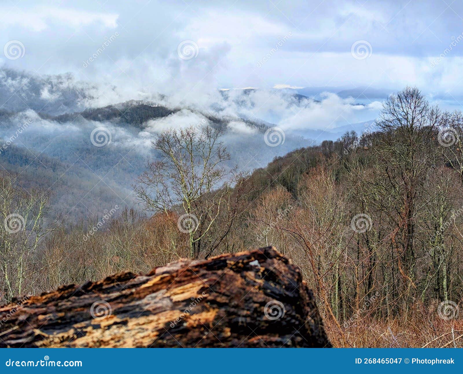 Low Clouds on the Blue Ridge Mountains in Winter Stock Image - Image of ...