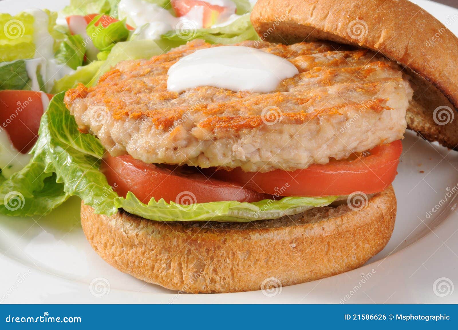 Low Fat Chicken or Turkey Bugger Stock Photo - Image of macro, lunch ...