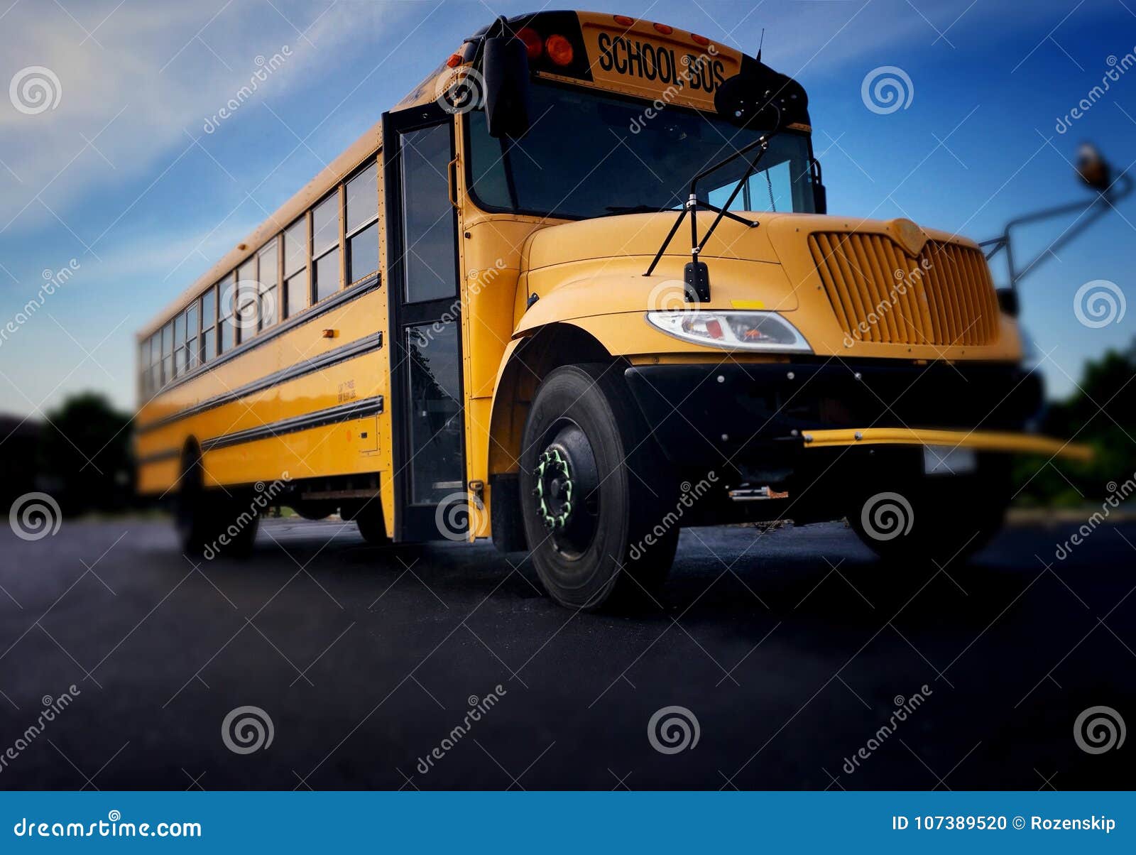 Low Front Angle Shot of a Public School Bus Stock Photo - Image of trip ...