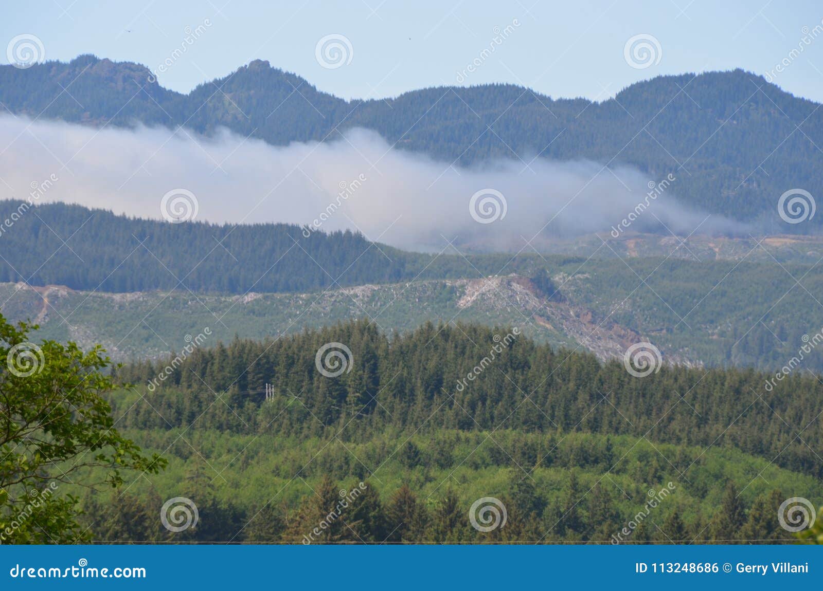 Low Hanging Mist in the Coast Range, Oregon Stock Photo - Image of ...