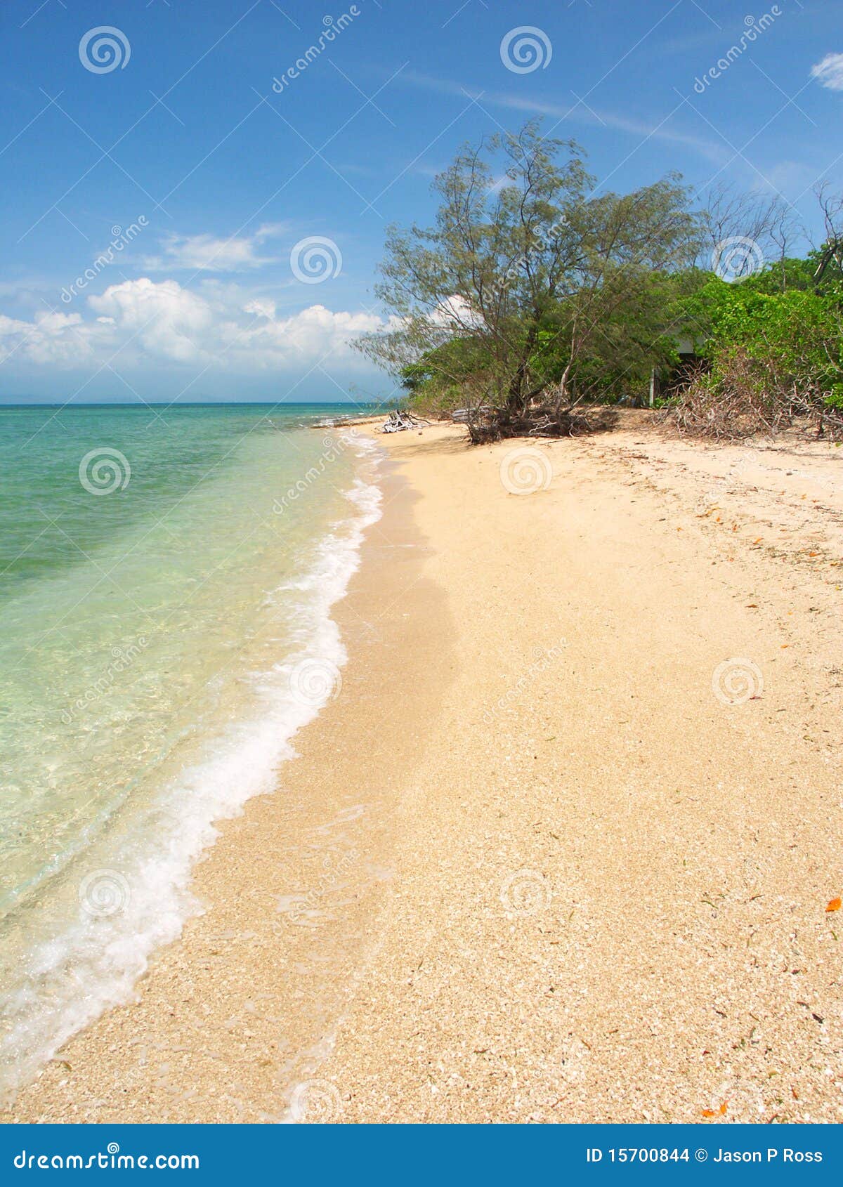 Low Isles - Queensland Australia Stock Photo - Image of vast ...