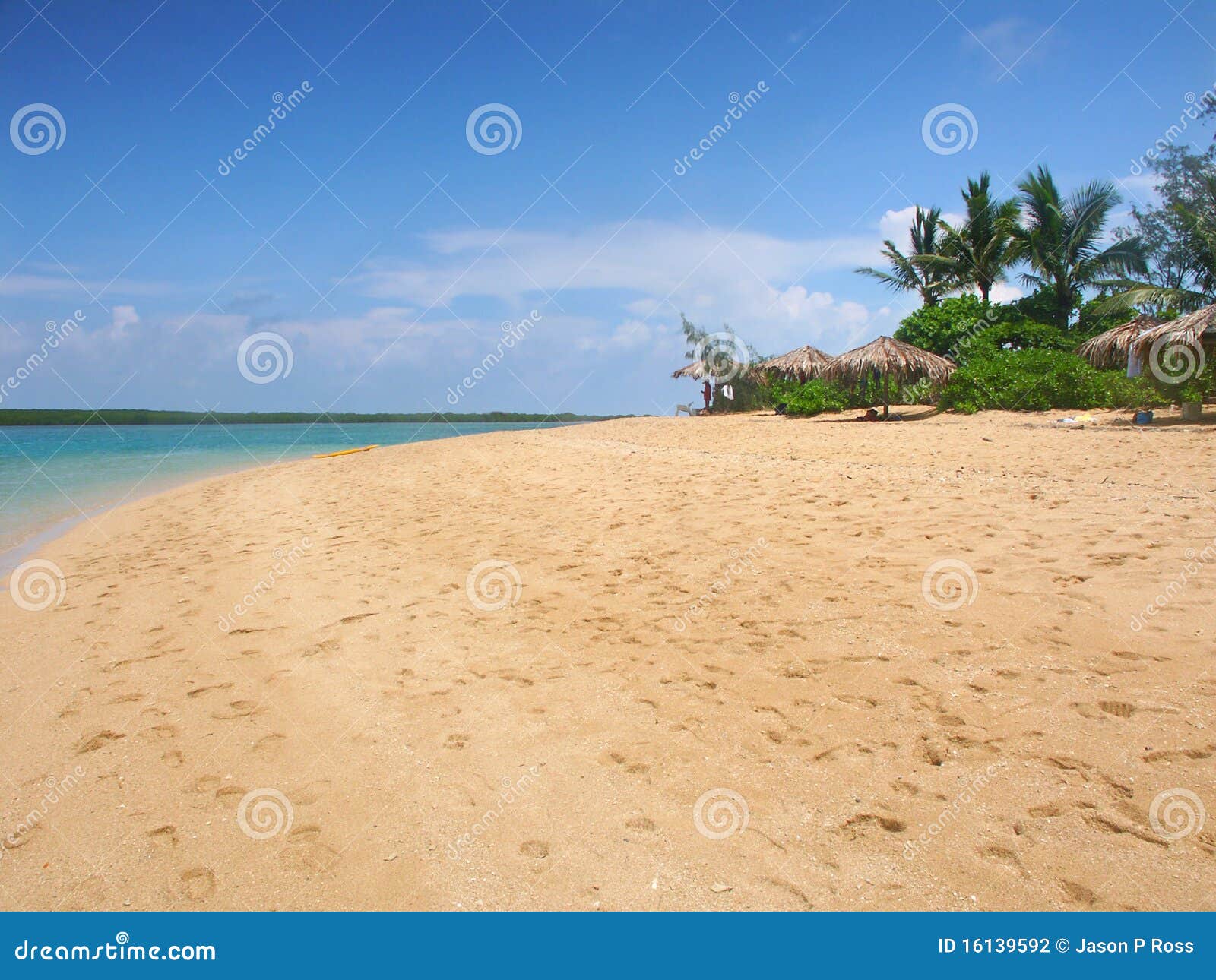 Low Isles - Queensland Australia Stock Photo - Image of getaway, relax ...