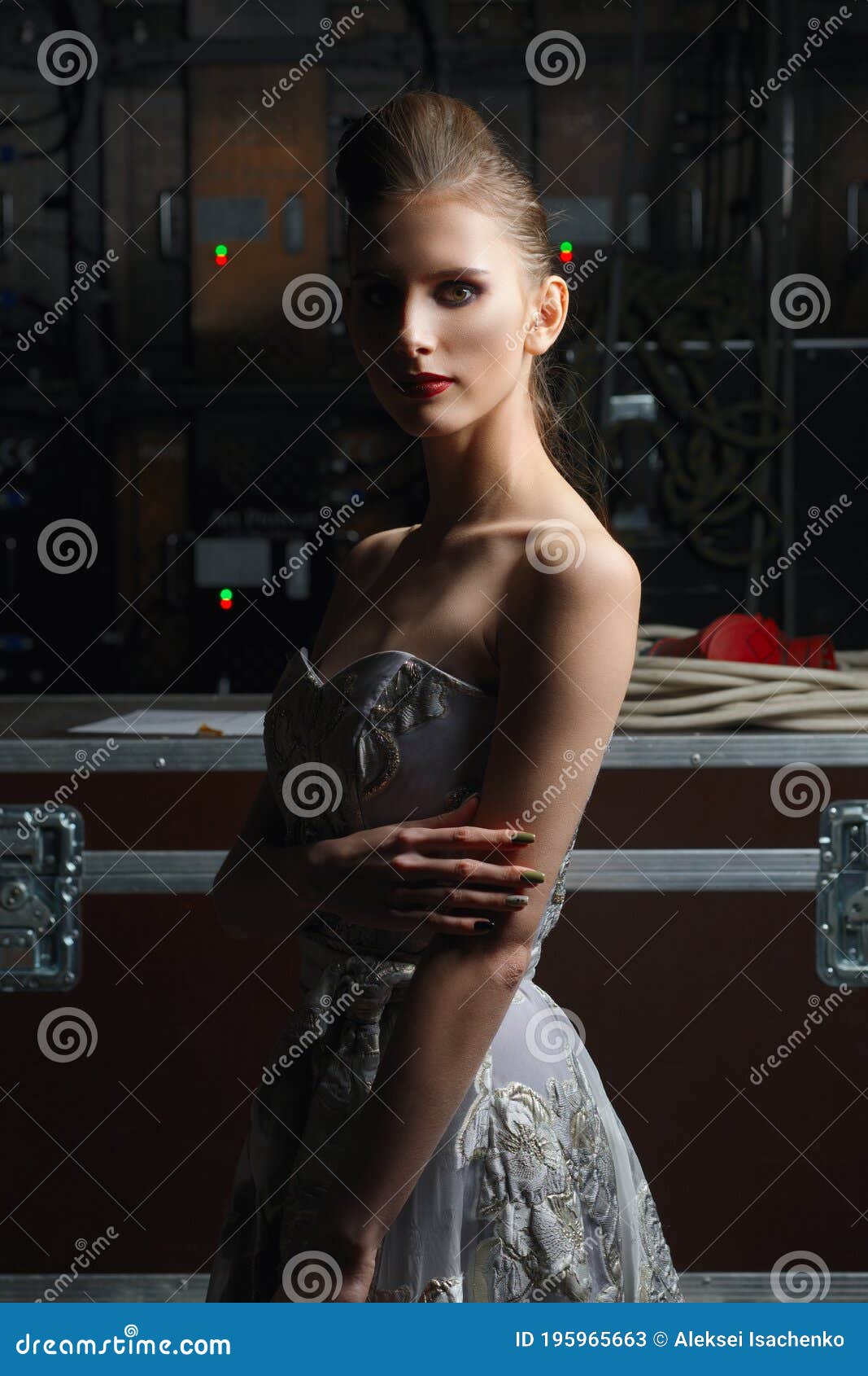 Portrait of Beautiful Model in Lace Fitted Dress Posing Stock Image ...