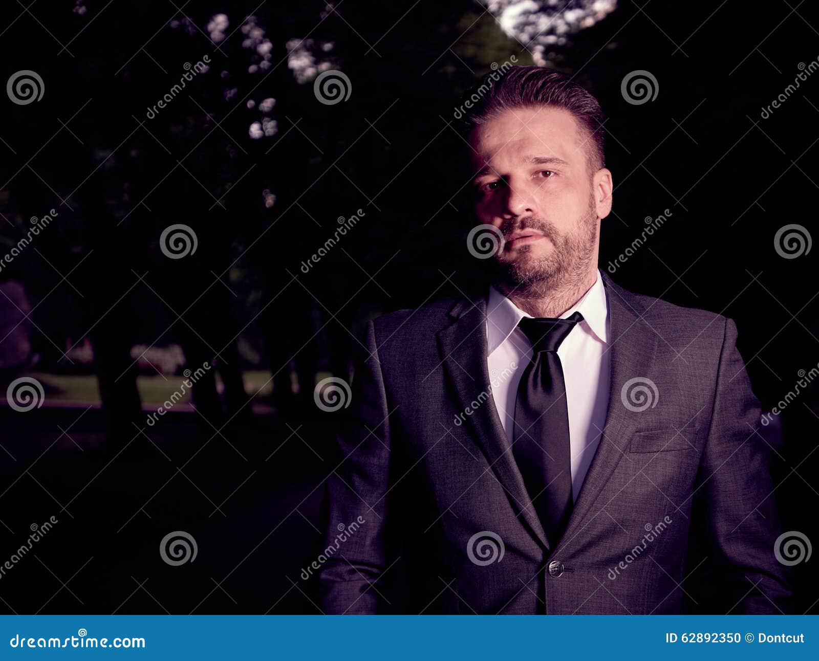 Low Key Portrait of Handsome Man Stock Photo - Image of gentleman ...