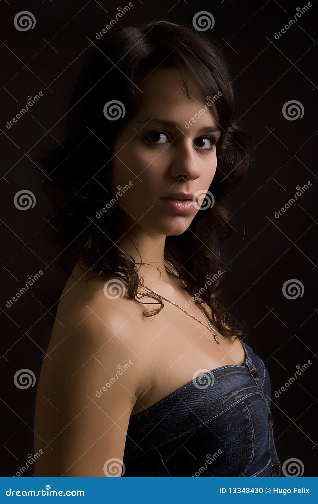 Low key shot stock photo. Image of beautiful, beauty - 13348430