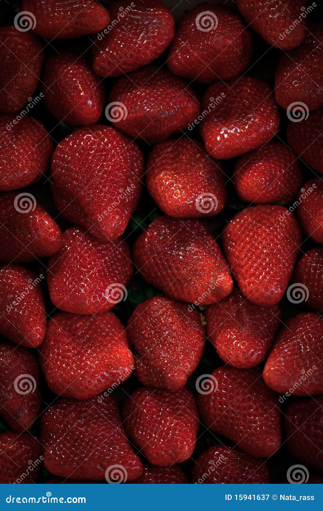 Low-key strawberries stock image. Image of lowkey, fruit - 15941637