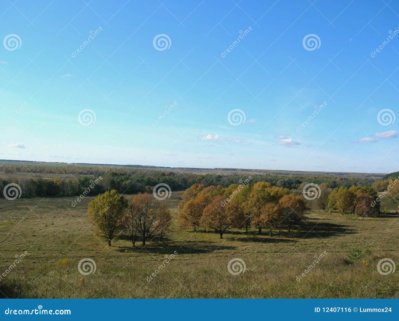 Low land stock photo. Image of photograph, shot, nature - 12407116