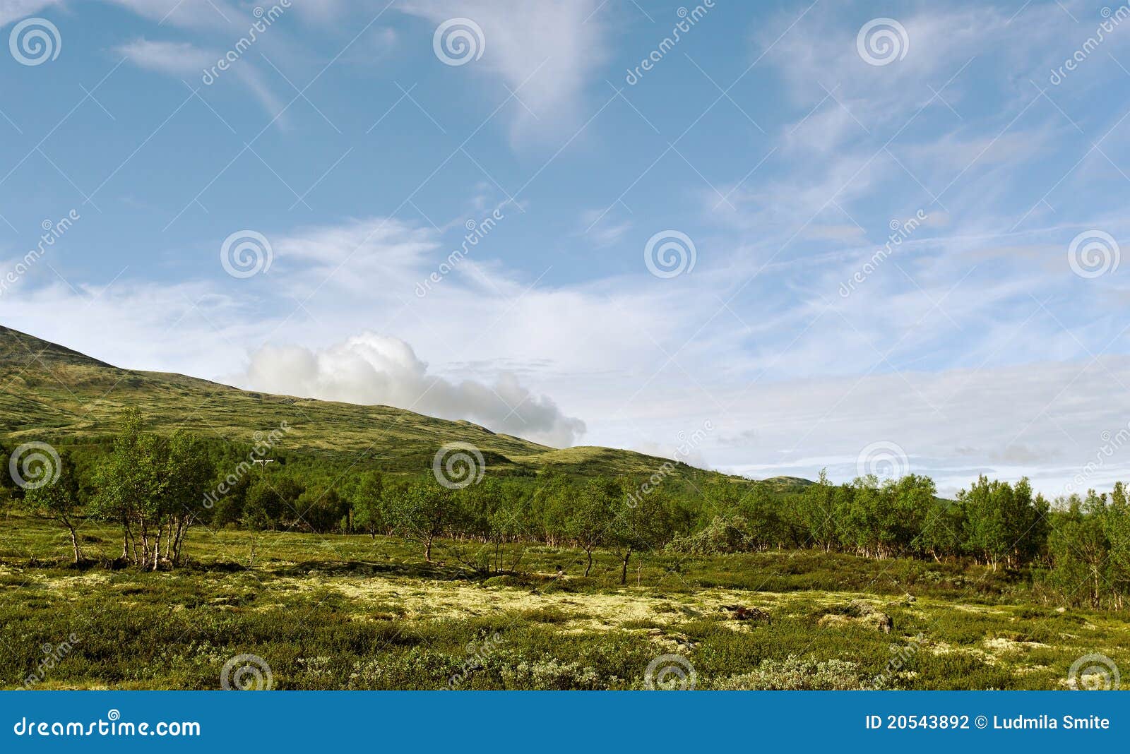 Low land. stock photo. Image of panorama, tranquil, summer - 20543892