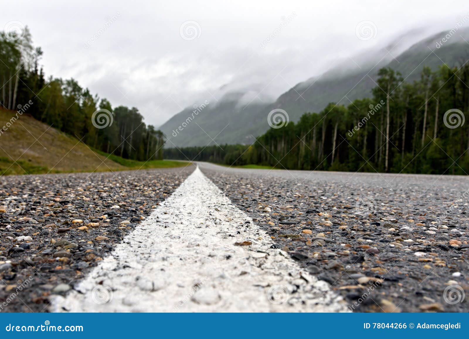 Low level view road stock photo. Image of landscape, dark - 78044266