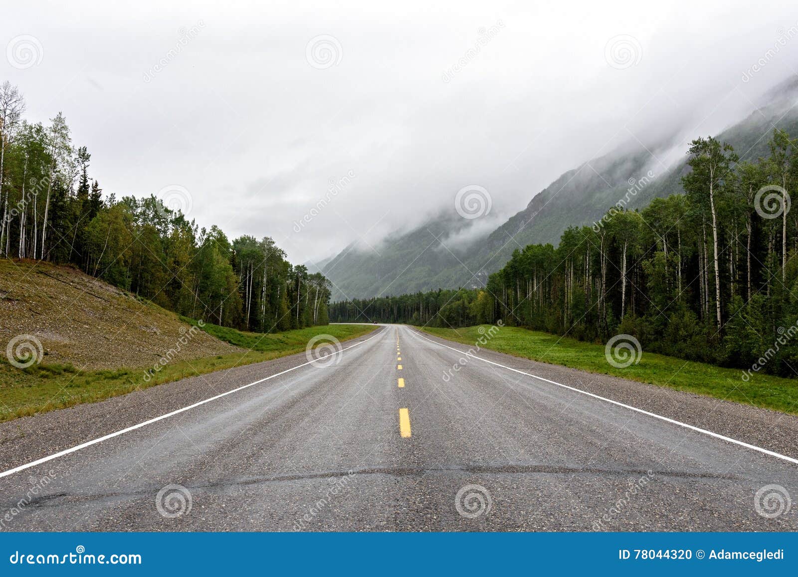 Low level view road stock photo. Image of roadside, dark - 78044320