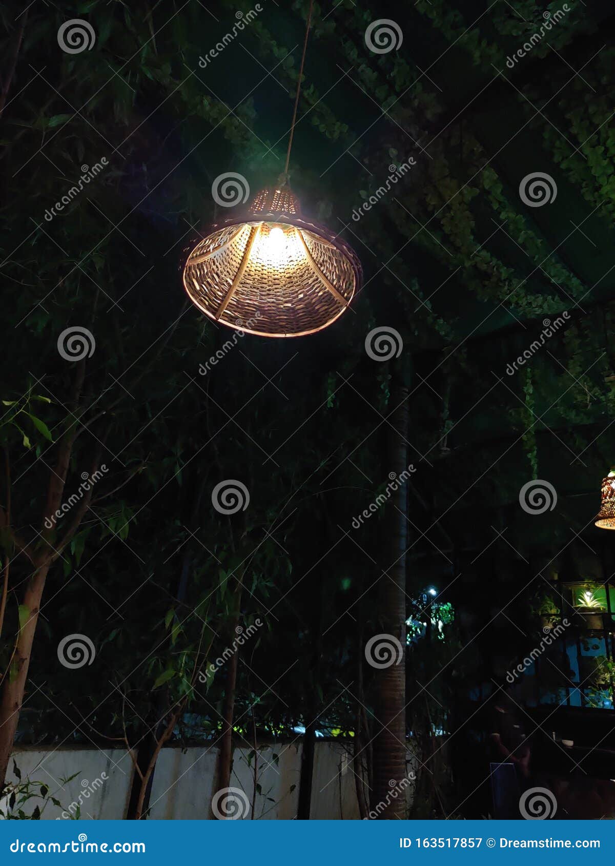 Low Light Dinner Restaurant Greenery Stock Image - Image of restaurant ...