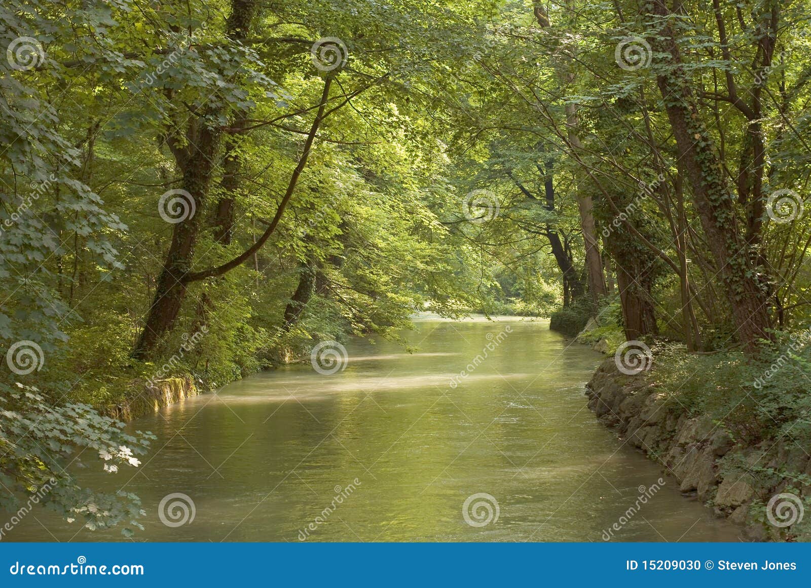 Low Light Over Wood and Stream Stock Photo - Image of nature, angle ...