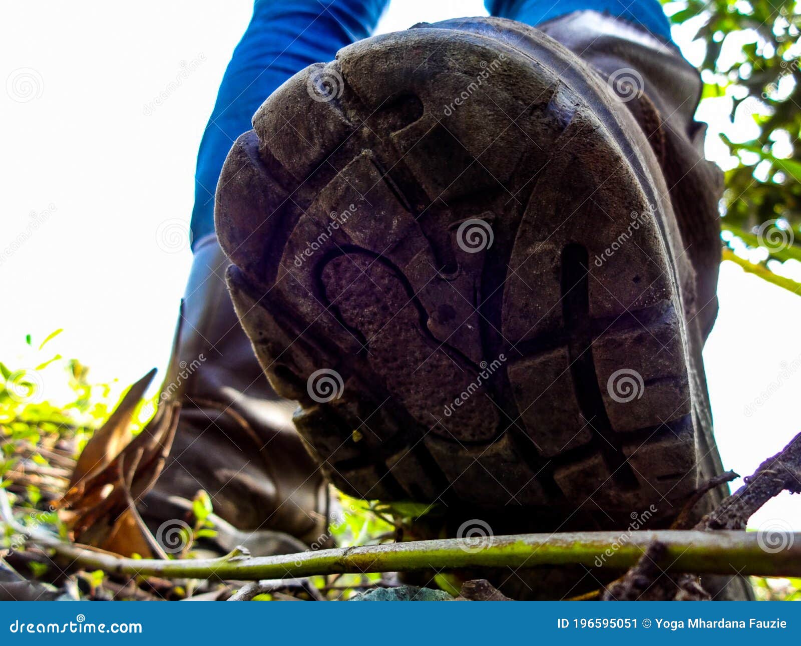 Royalty Free Images, Cartoons, Illustrations And Photos Designed By ...