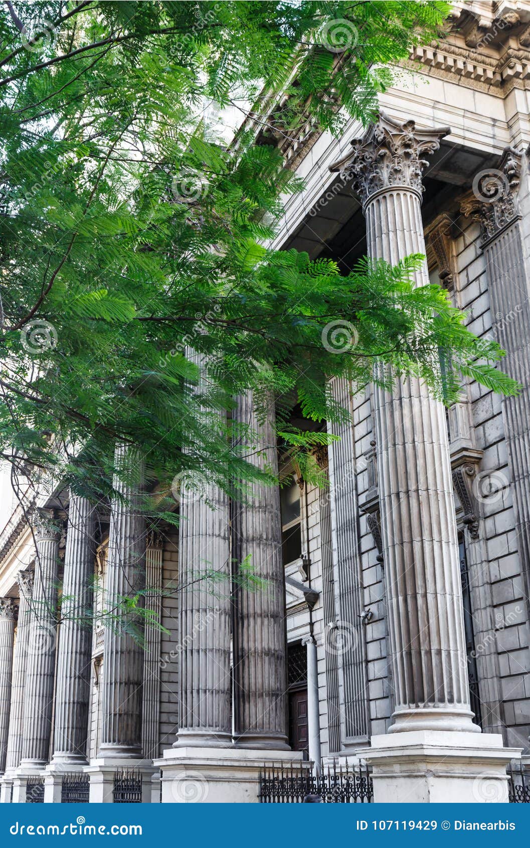 Corinthian Columns on a Building in Havana Cuba Stock Image - Image of ...