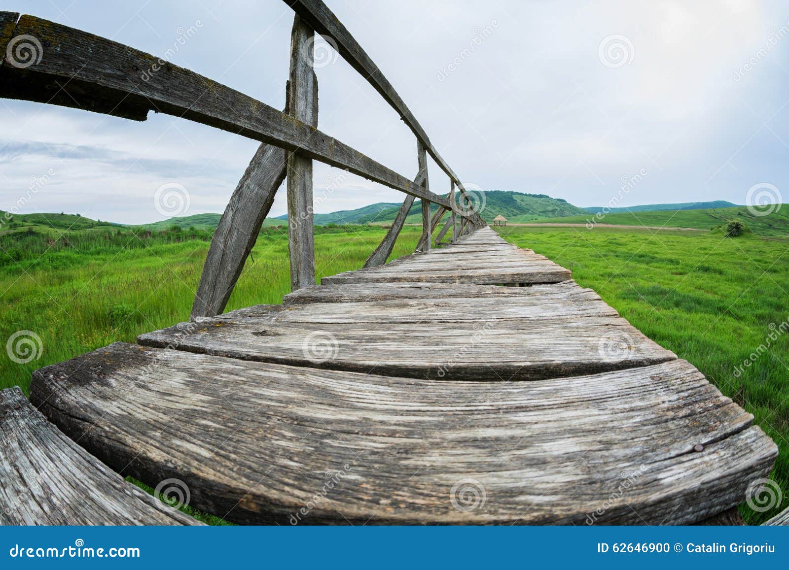 Low Perspective Shot of Wooden Deck Stock Photo - Image of rustic ...