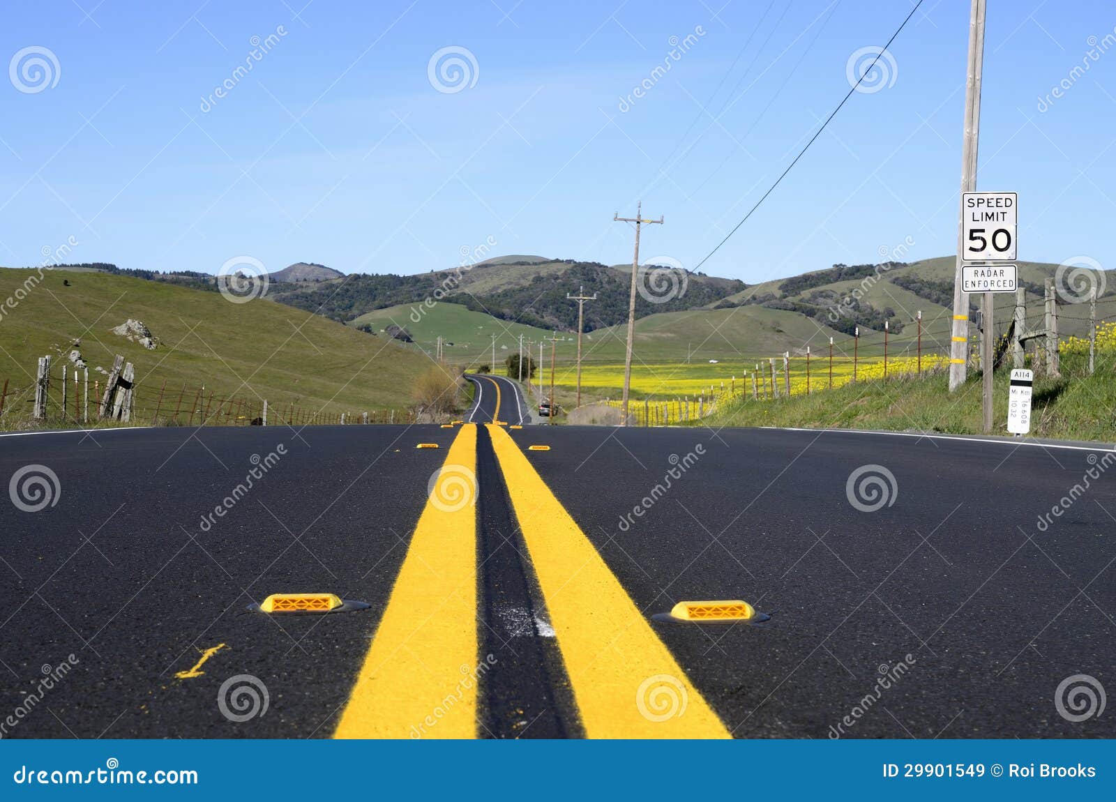 Center road markings stock image. Image of point, rapeseed - 29901549